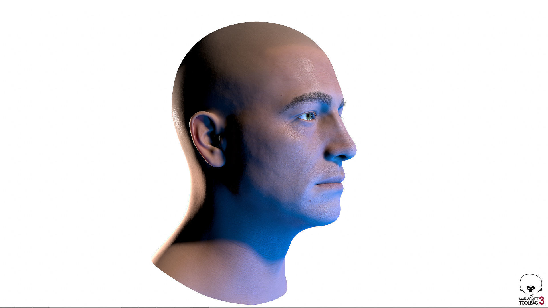 3D model Average Caucasian Male Head VR / AR / low-poly | CGTrader
