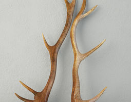 Antler 3D Models | CGTrader