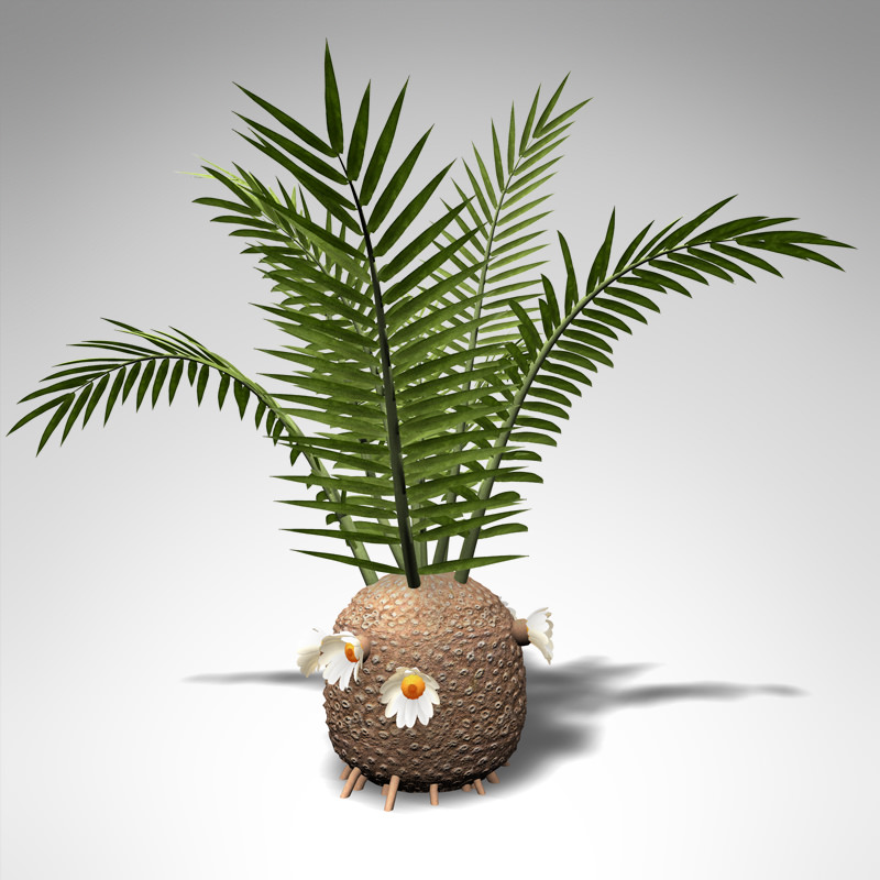 XfrogPlants Cycadeoidea Gigantea free 3D model | CGTrader
