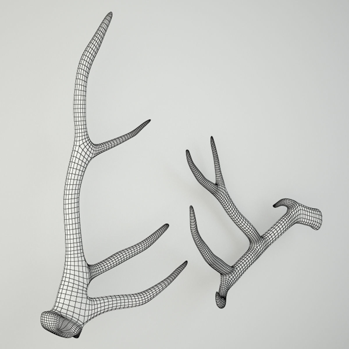 Deer Antlers 3D model | CGTrader