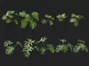 Vertical Garden - Tropical Jungle Green Wall 3D model | CGTrader