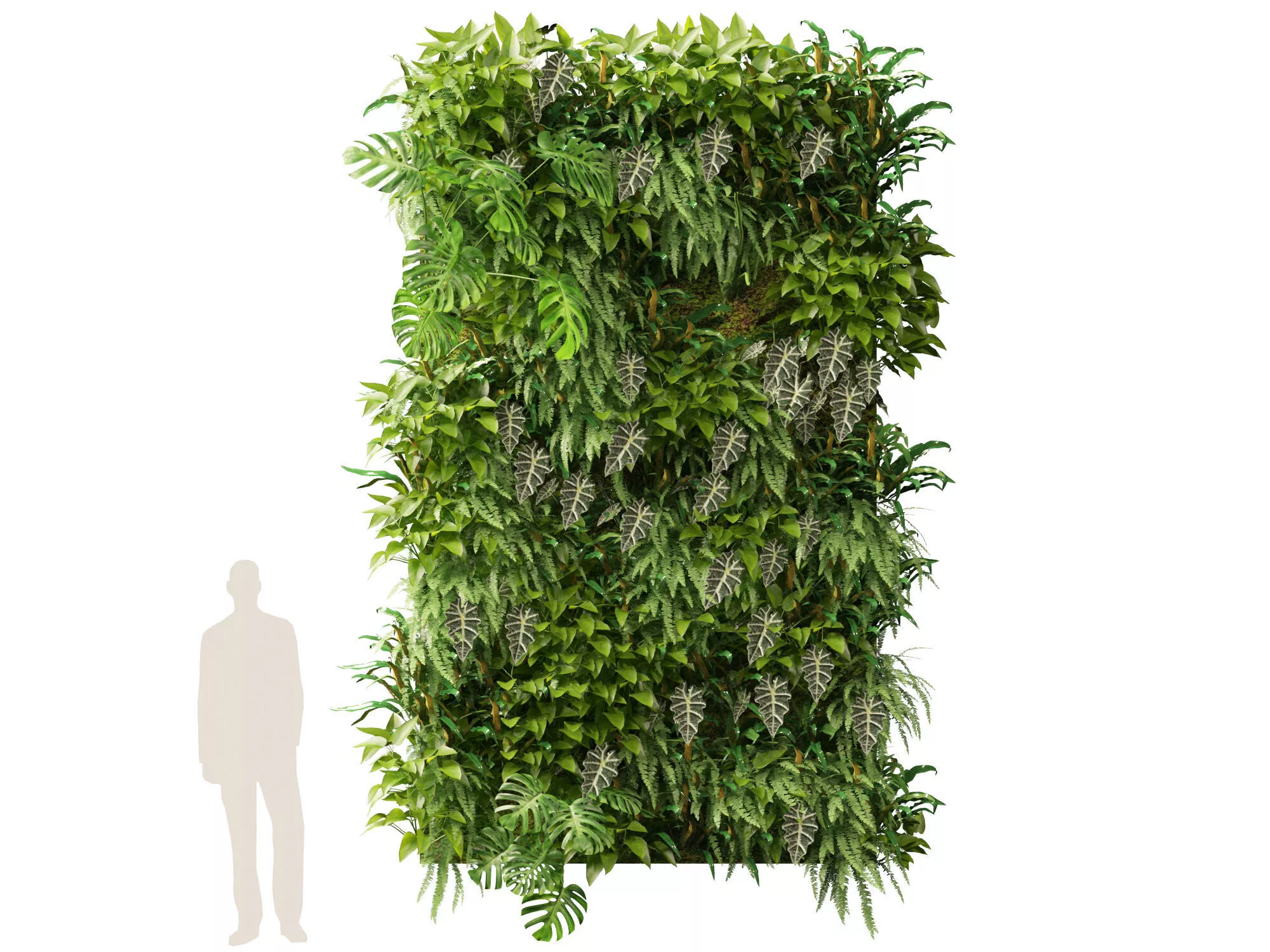 Vertical Garden - Tropical Jungle Green Wall 3D model | CGTrader