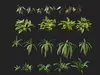 Vertical Garden - Tropical Jungle Green Wall 3D model | CGTrader