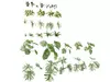 Vertical Garden - Tropical Jungle Green Wall 3D model | CGTrader