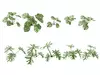 Vertical Garden - Tropical Jungle Green Wall 3D model | CGTrader