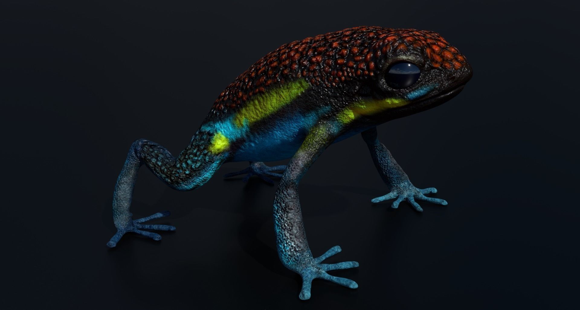 Arrow Frog rigged VR AR low-poly 3d model free VR / AR / low-poly 3D ...