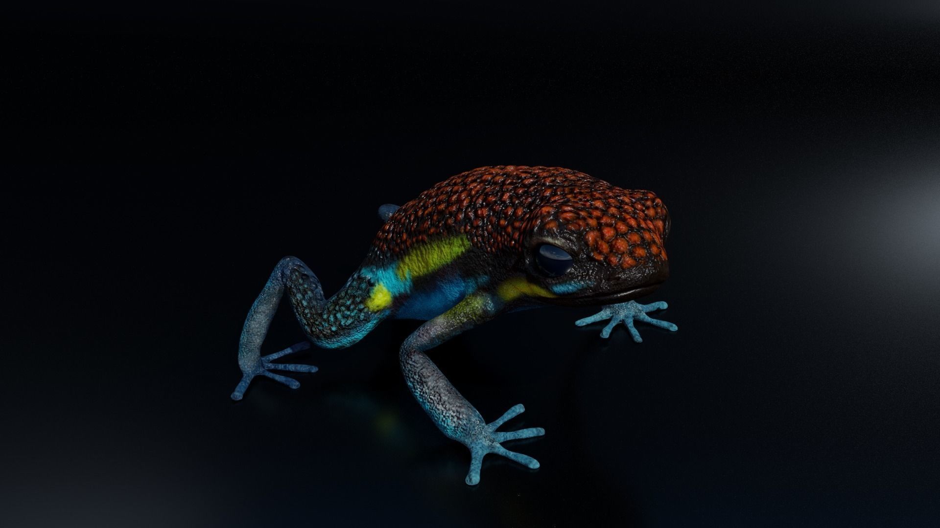 Arrow Frog rigged VR AR low-poly 3d model free VR / AR / low-poly 3D ...