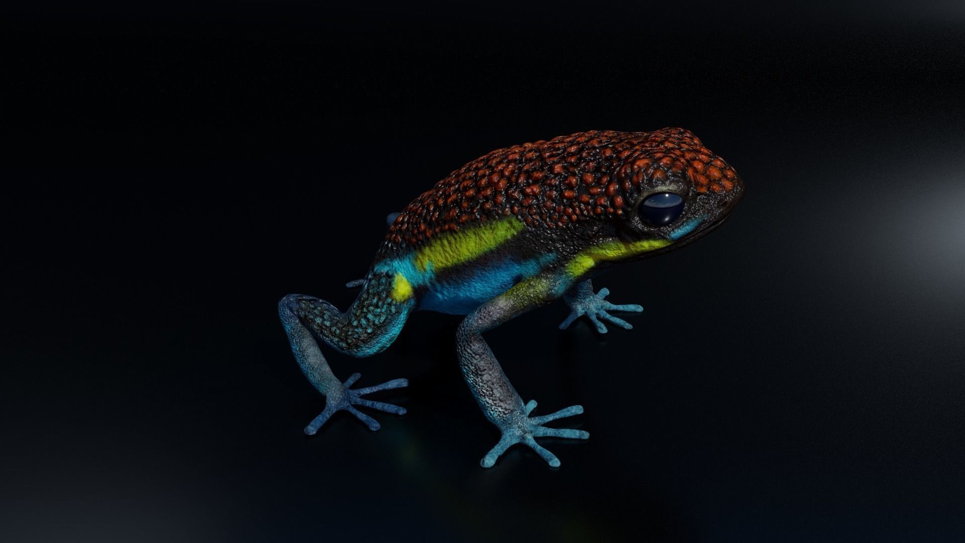 Arrow Frog rigged VR AR low-poly 3d model free VR / AR / low-poly 3D ...