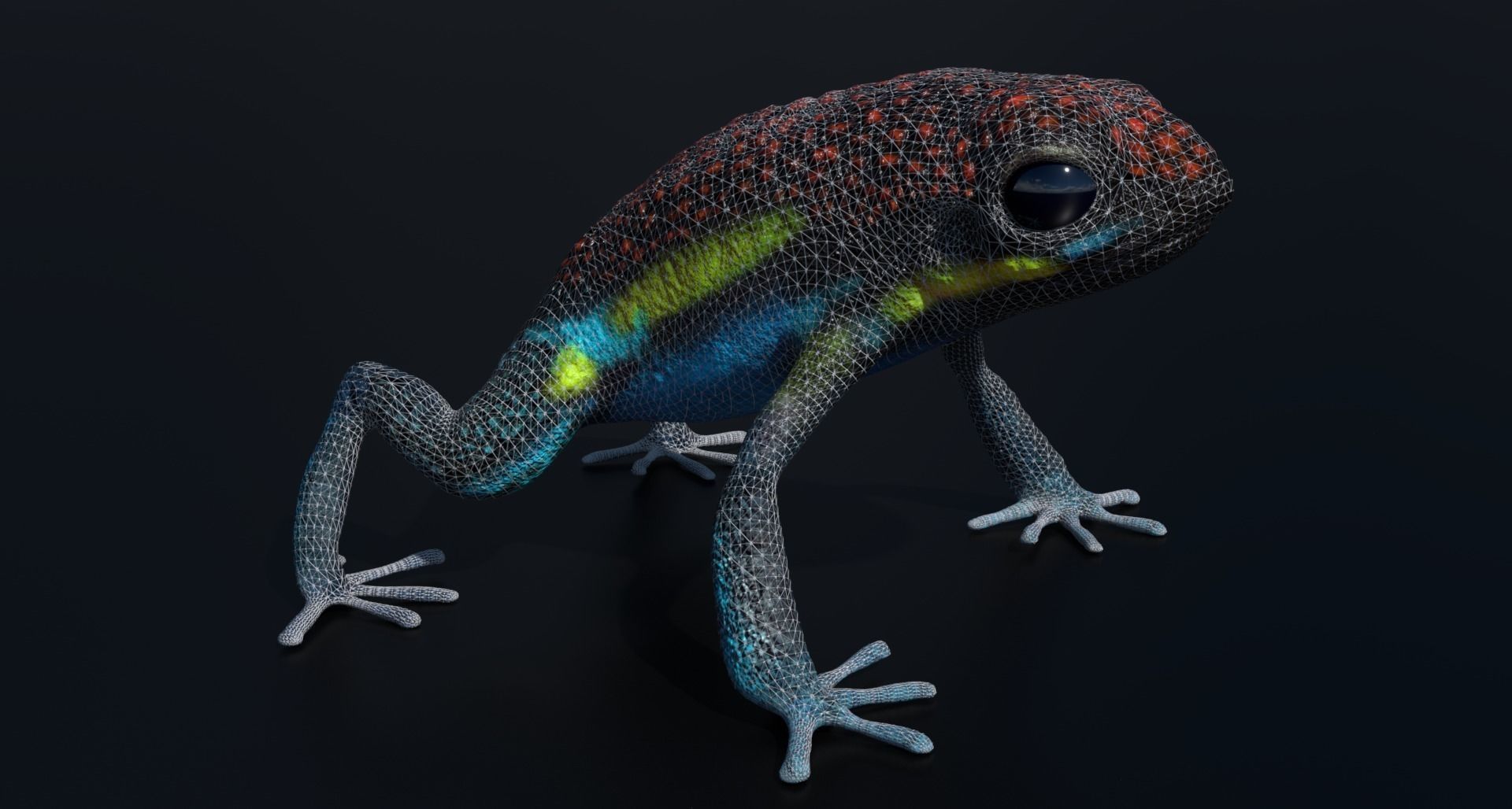 Arrow Frog rigged VR AR low-poly 3d model free VR / AR / low-poly 3D ...