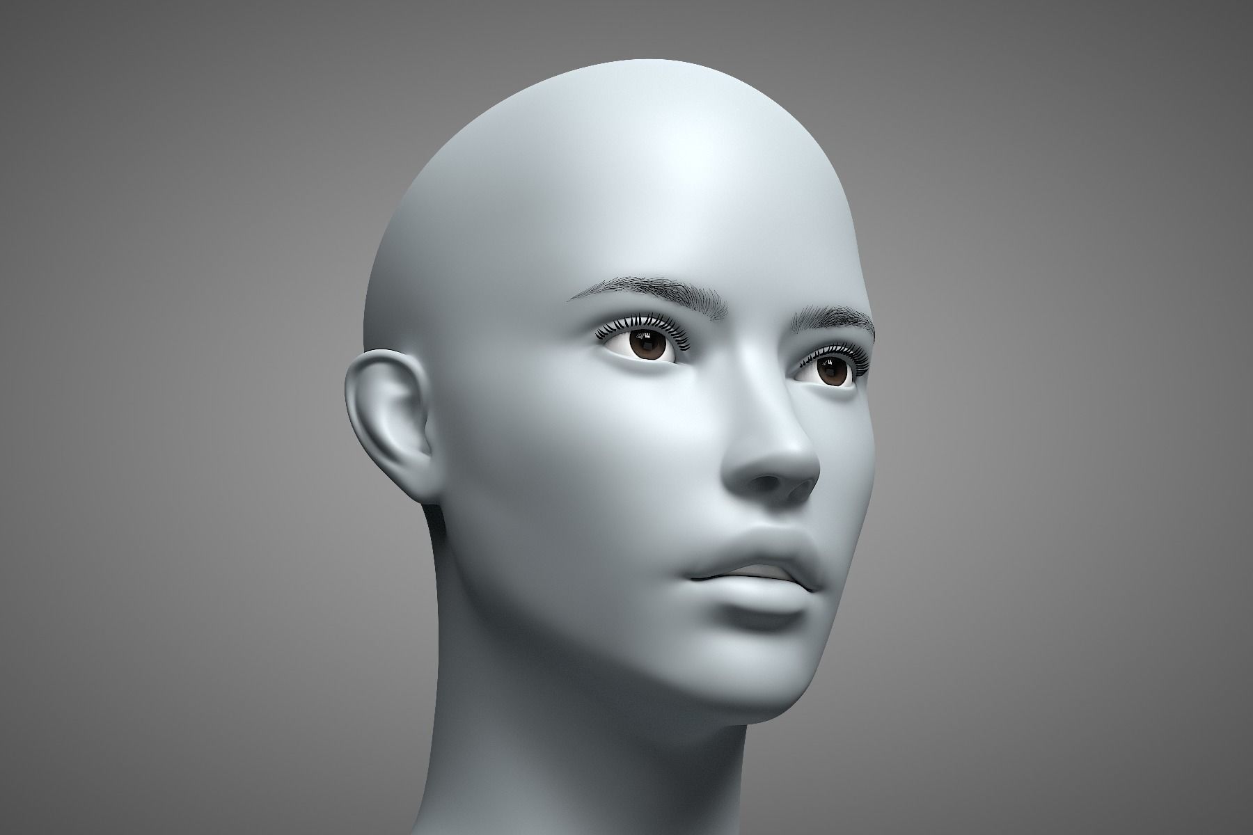 Female Head 3 3D model | CGTrader