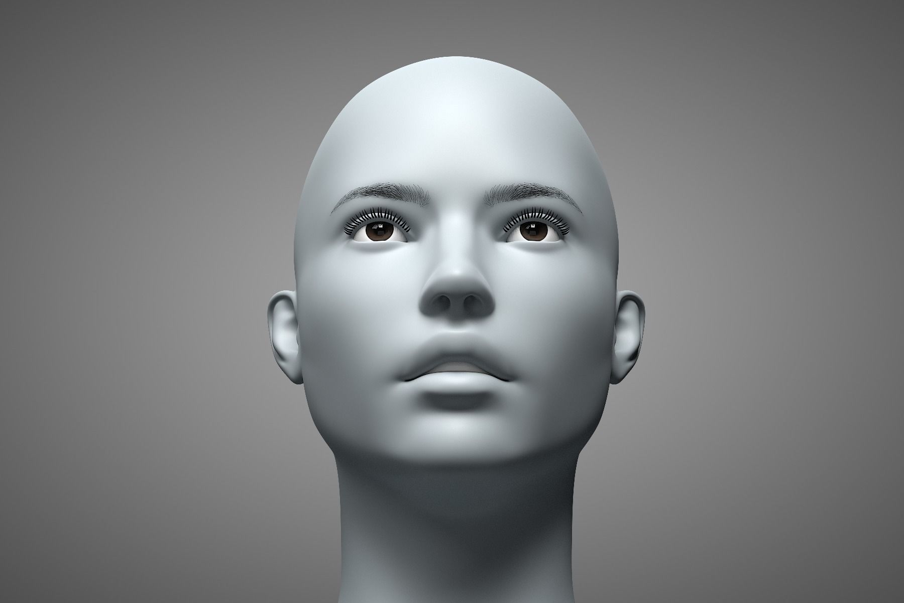 Female Head 3 3D model | CGTrader