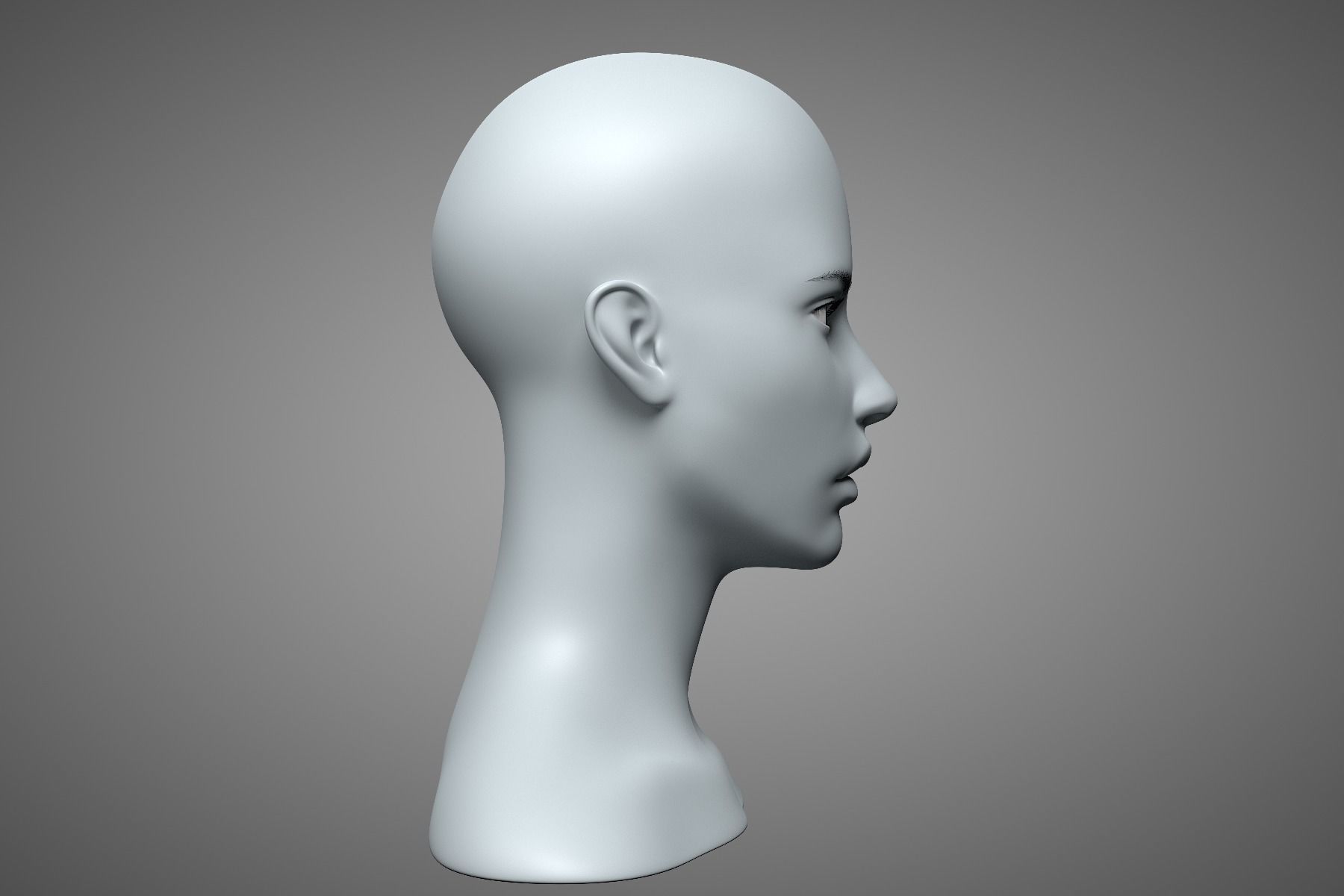 Female Head 3 3D model | CGTrader