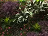 Vertical Garden - Royal Purple Gold Contrast Green Wall 3D model | CGTrader