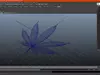 Cannabis Leaf Model 3D model | CGTrader