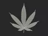 Cannabis Leaf Model 3D model | CGTrader
