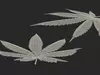 Cannabis Leaf Model 3D model | CGTrader