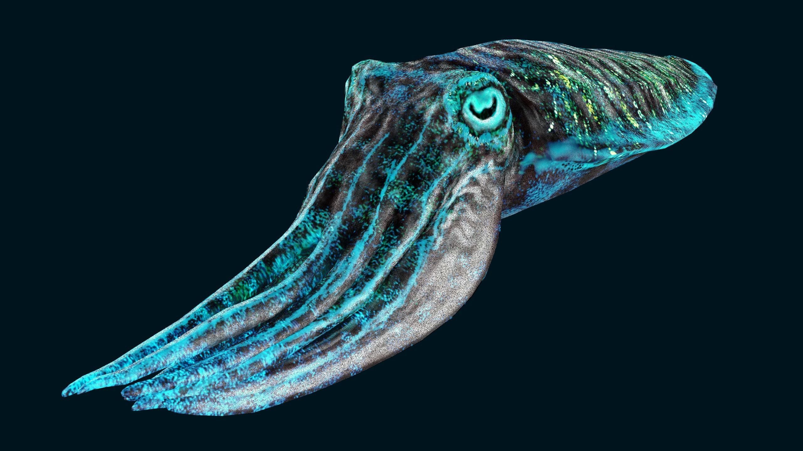 3D model Cuttlefish squid with glowing tentacles VR / AR / low-poly ...