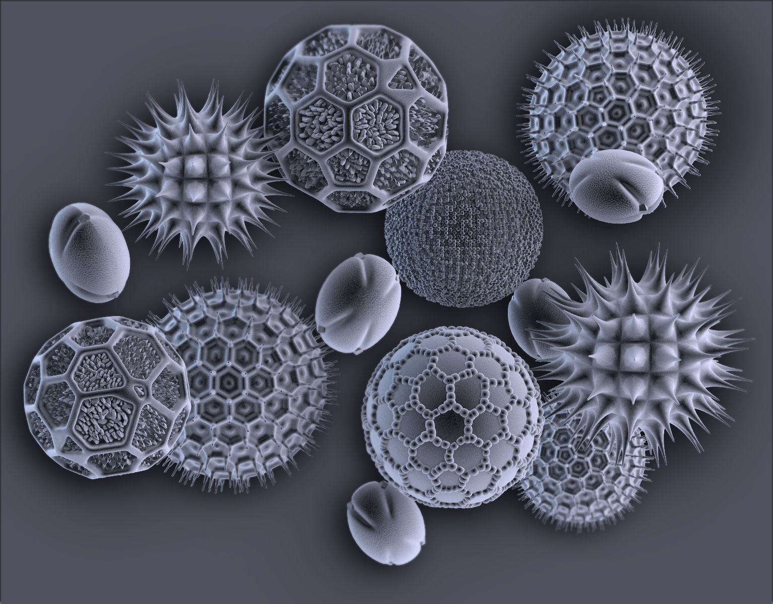 Pollens ball with spikes 3D model | CGTrader