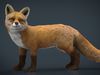 3D model Realistic Fox VR / AR / low-poly | CGTrader