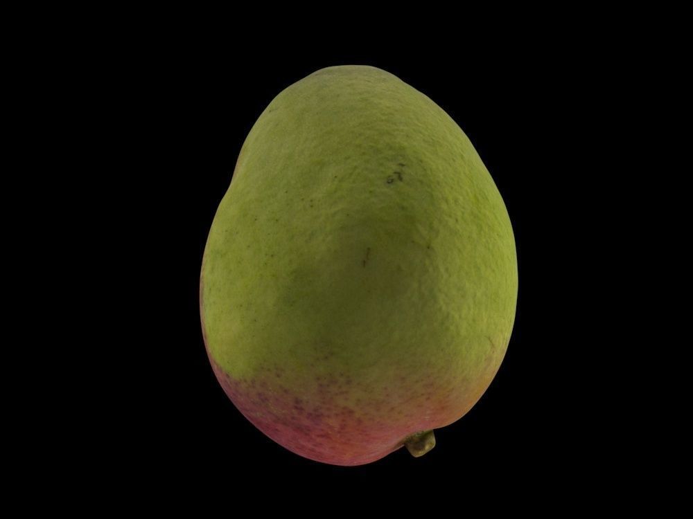 Mango - low poly 3D model | CGTrader