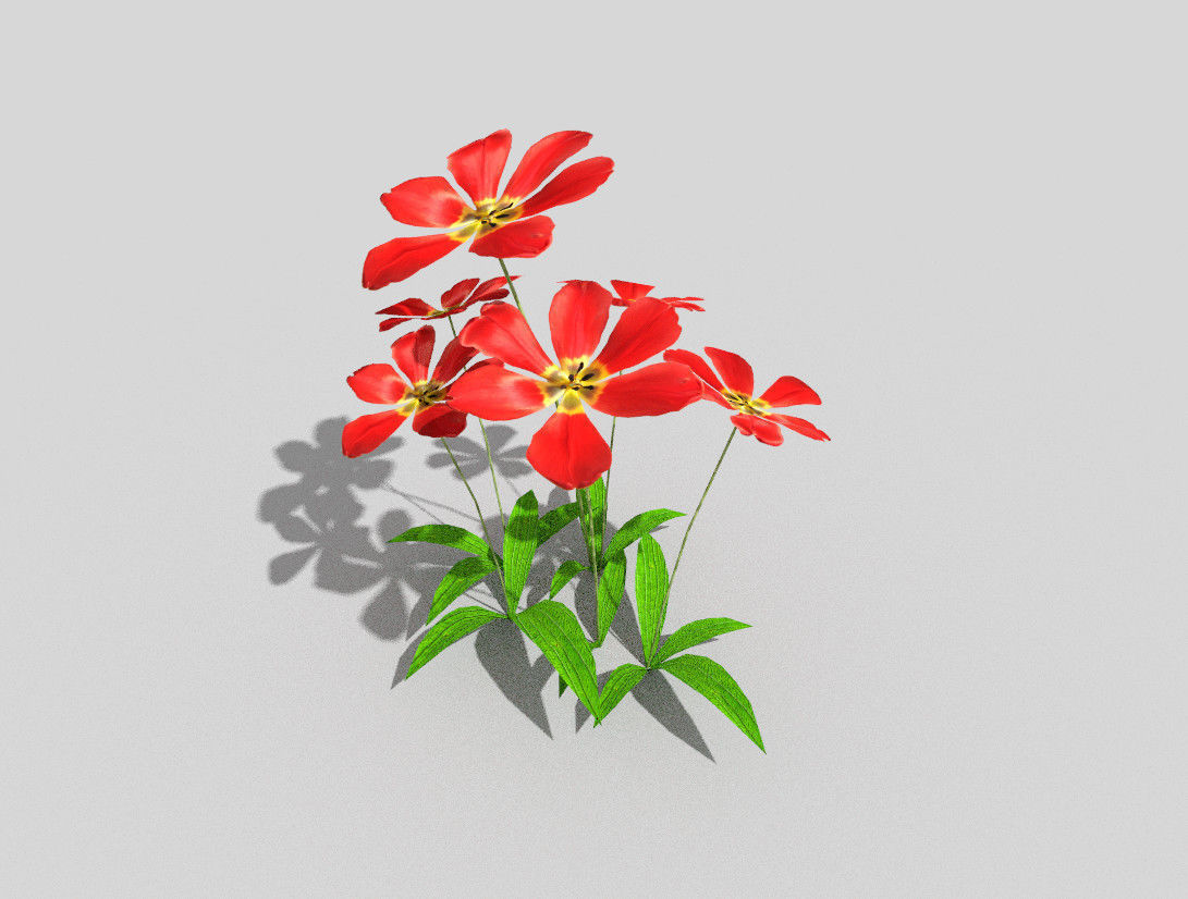 3D model low poly flower three flowers VR / AR / low-poly | CGTrader