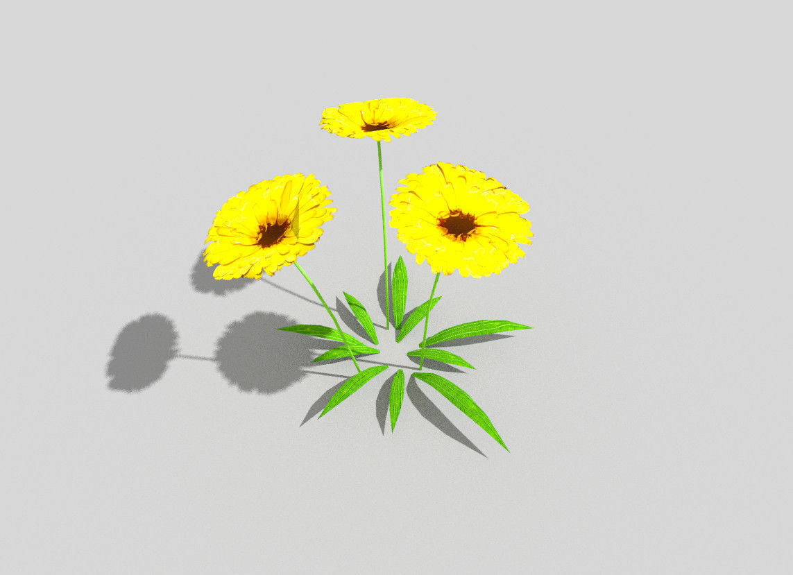 3D model low poly flower three flowers VR / AR / low-poly | CGTrader