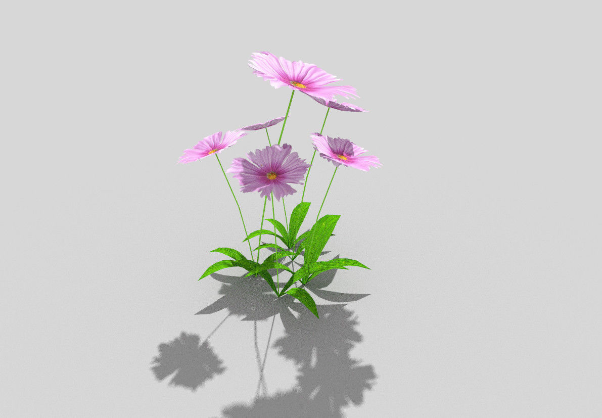3D model low poly flower flowers VR / AR / low-poly | CGTrader