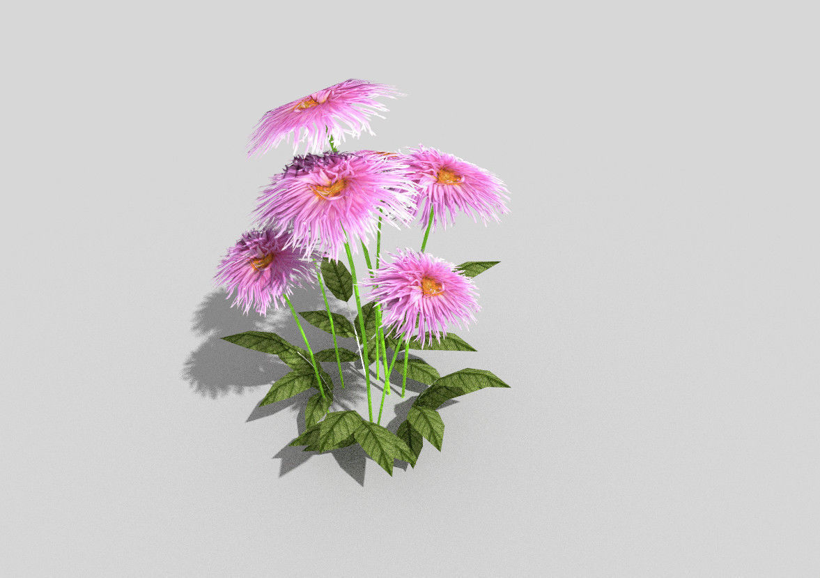 3D model low poly flower daisies in vase VR / AR / low-poly | CGTrader