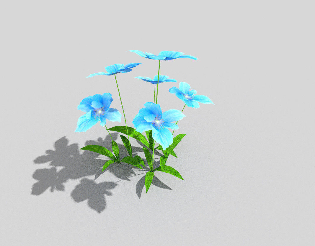3D model low poly flower flowers VR / AR / low-poly | CGTrader