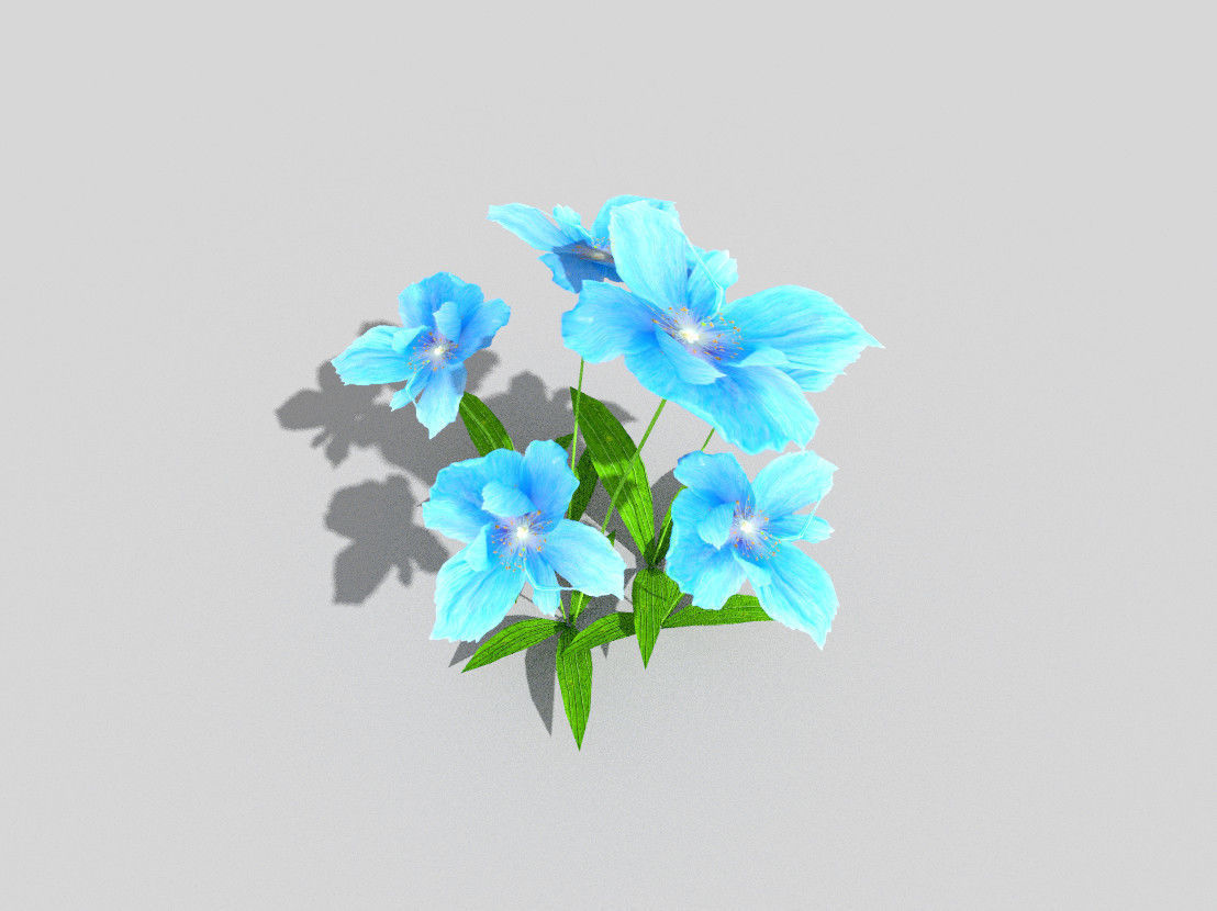 3D model low poly flower flowers VR / AR / low-poly | CGTrader
