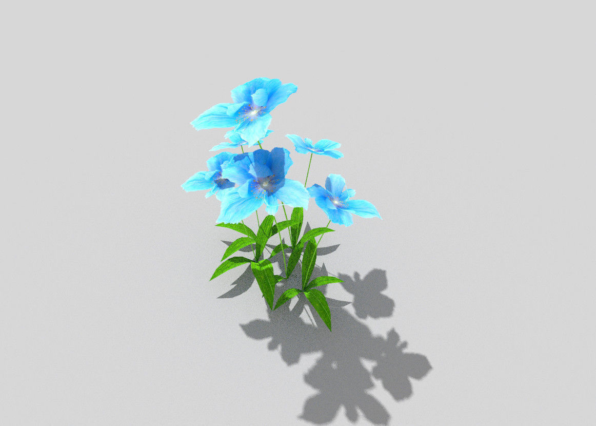 3D model low poly flower flowers VR / AR / low-poly | CGTrader