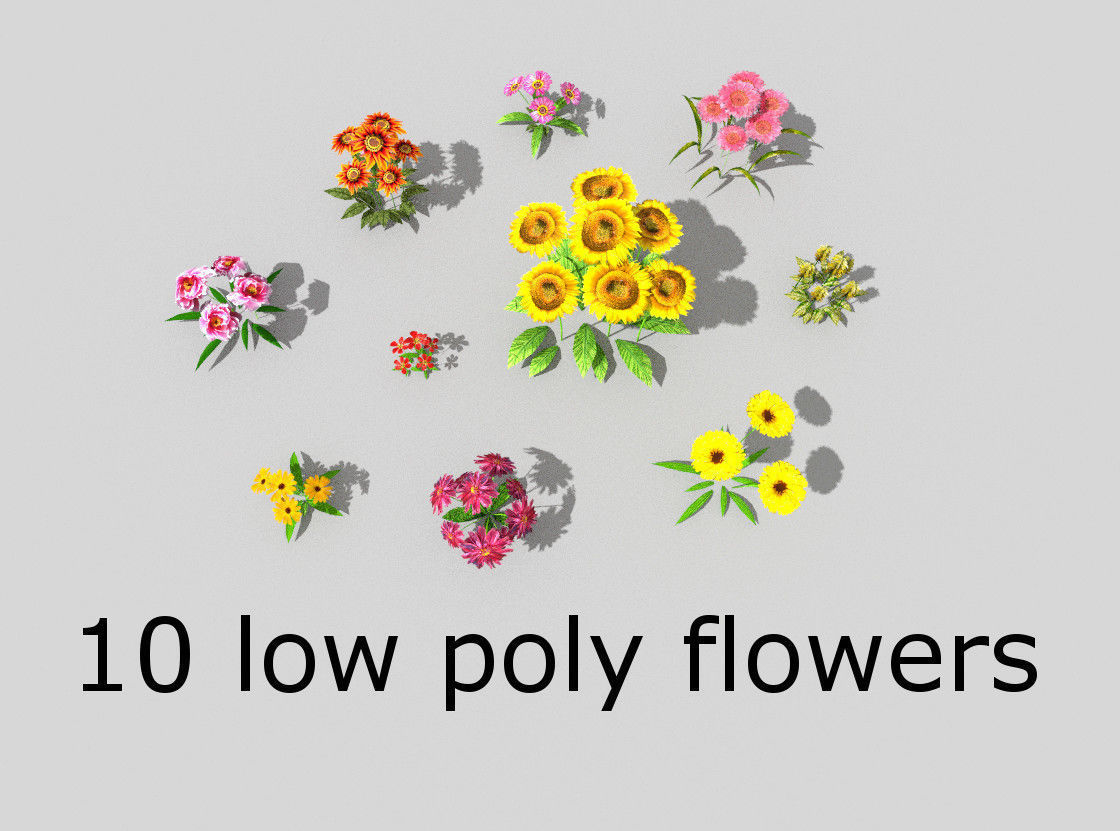 3D model 10 low poly flowers pack VR / AR / low-poly | CGTrader