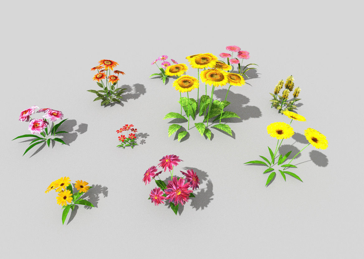 3D model 10 low poly flowers pack VR / AR / low-poly | CGTrader