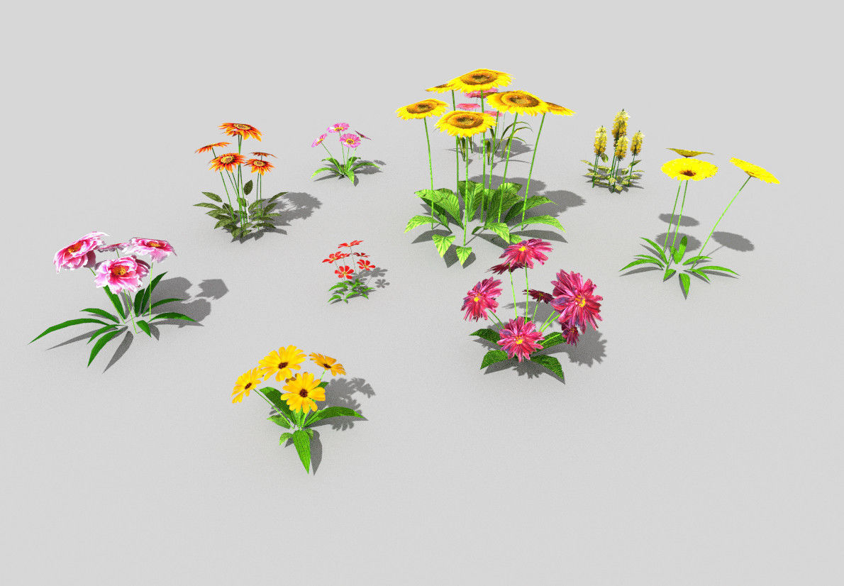3D model 10 low poly flowers pack VR / AR / low-poly | CGTrader