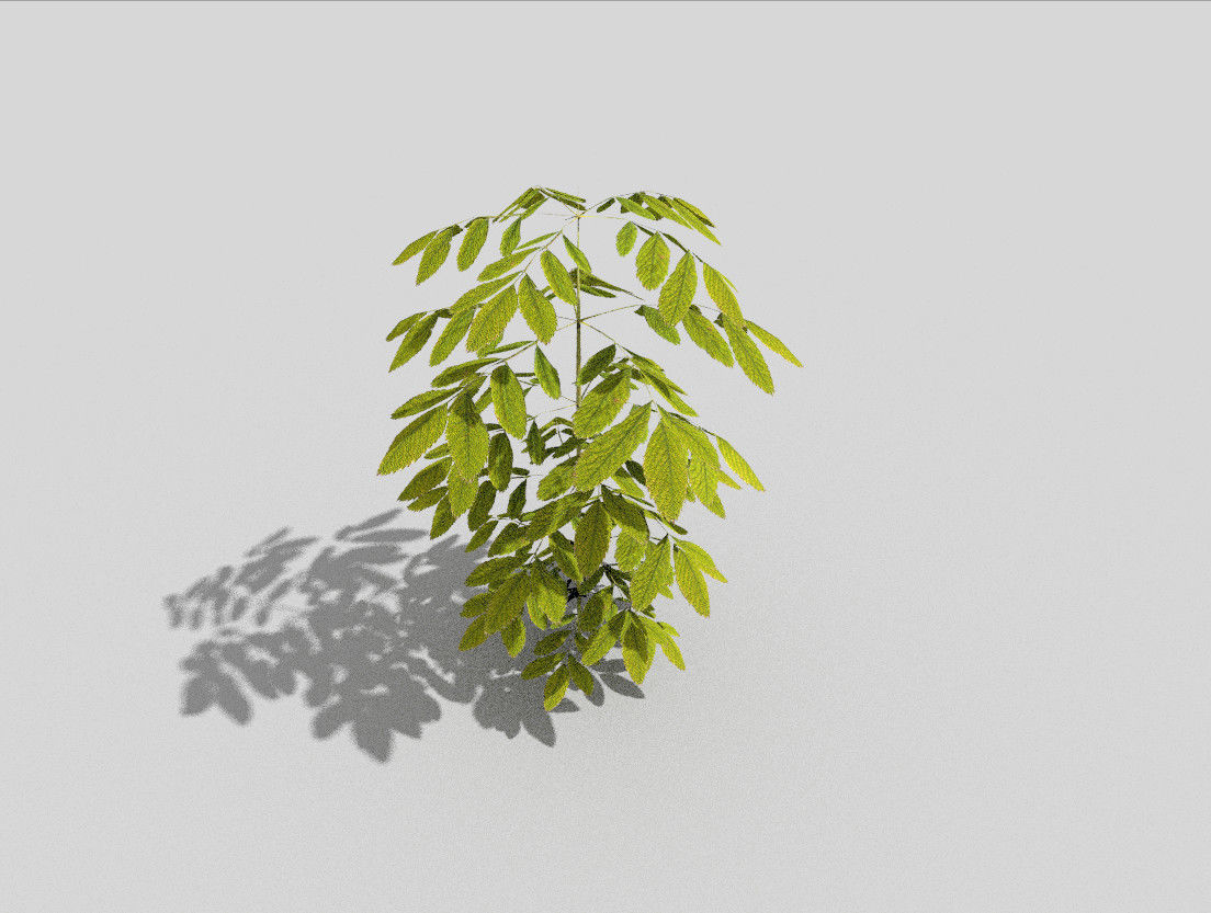 3D model low poly ground plant VR / AR / low-poly | CGTrader