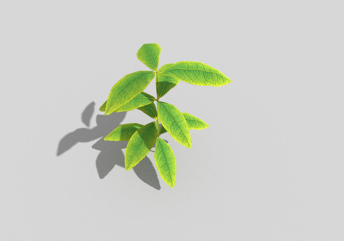 3D model low poly ground plant VR / AR / low-poly | CGTrader