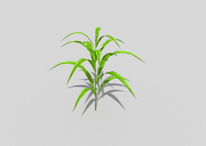 3D model low poly ground plant VR / AR / low-poly | CGTrader