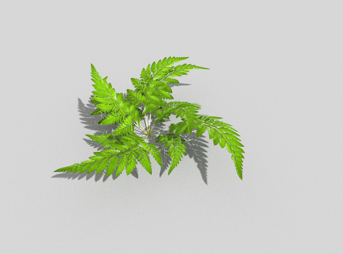 3D model low poly ground plant VR / AR / low-poly | CGTrader