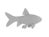 Fish Collection 3D model | CGTrader