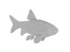 Fish Collection 3D model | CGTrader