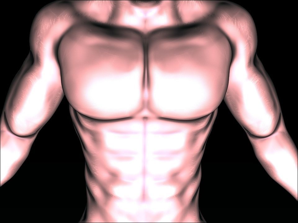 Simple - Muscular Male Model - Free free 3D model 3D printable | CGTrader