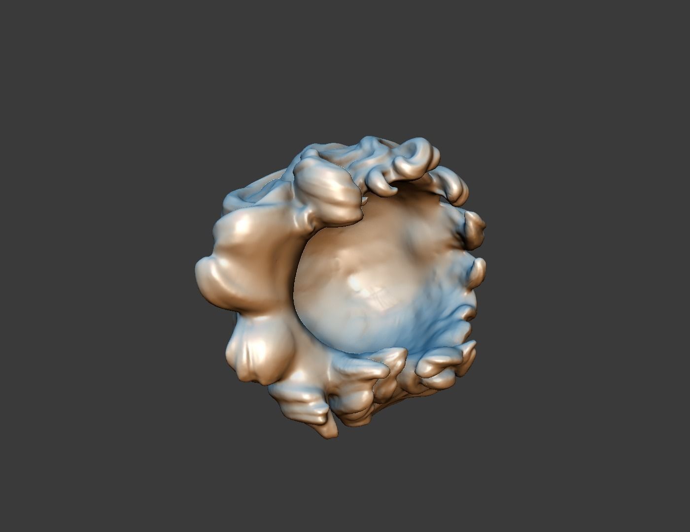 curly hair 3D model 3D printable | CGTrader