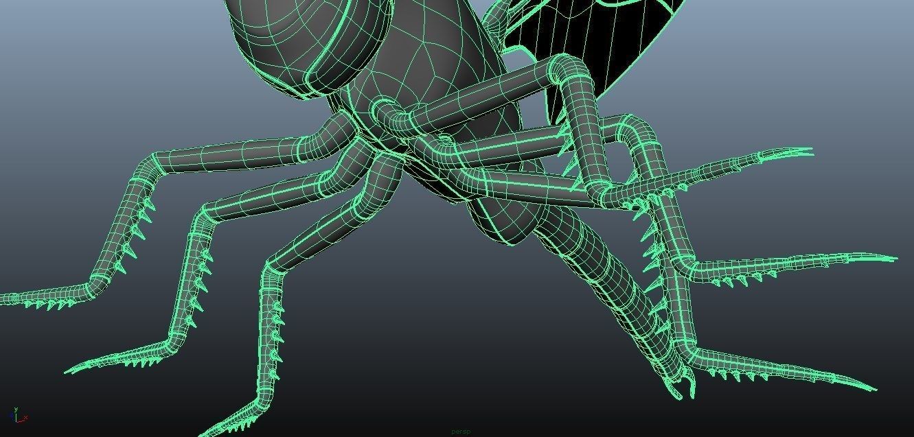 Dragonfly model - no rigging - no texture 3D model | CGTrader