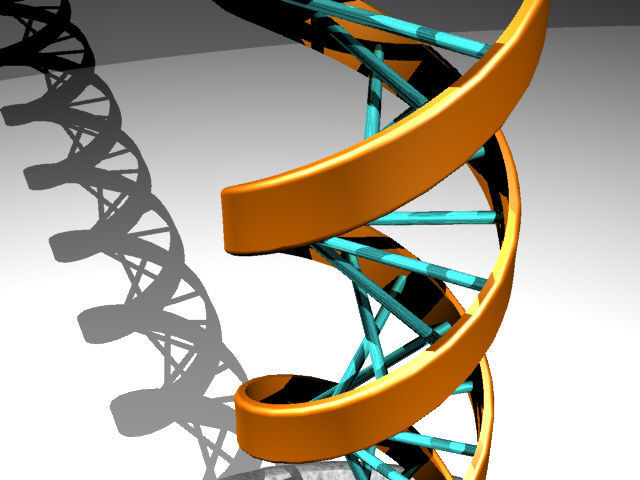 DNA - Double Helix free 3D model 3D printable | CGTrader