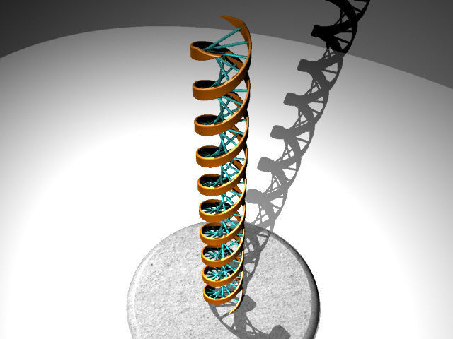 DNA - Double Helix free 3D model 3D printable | CGTrader
