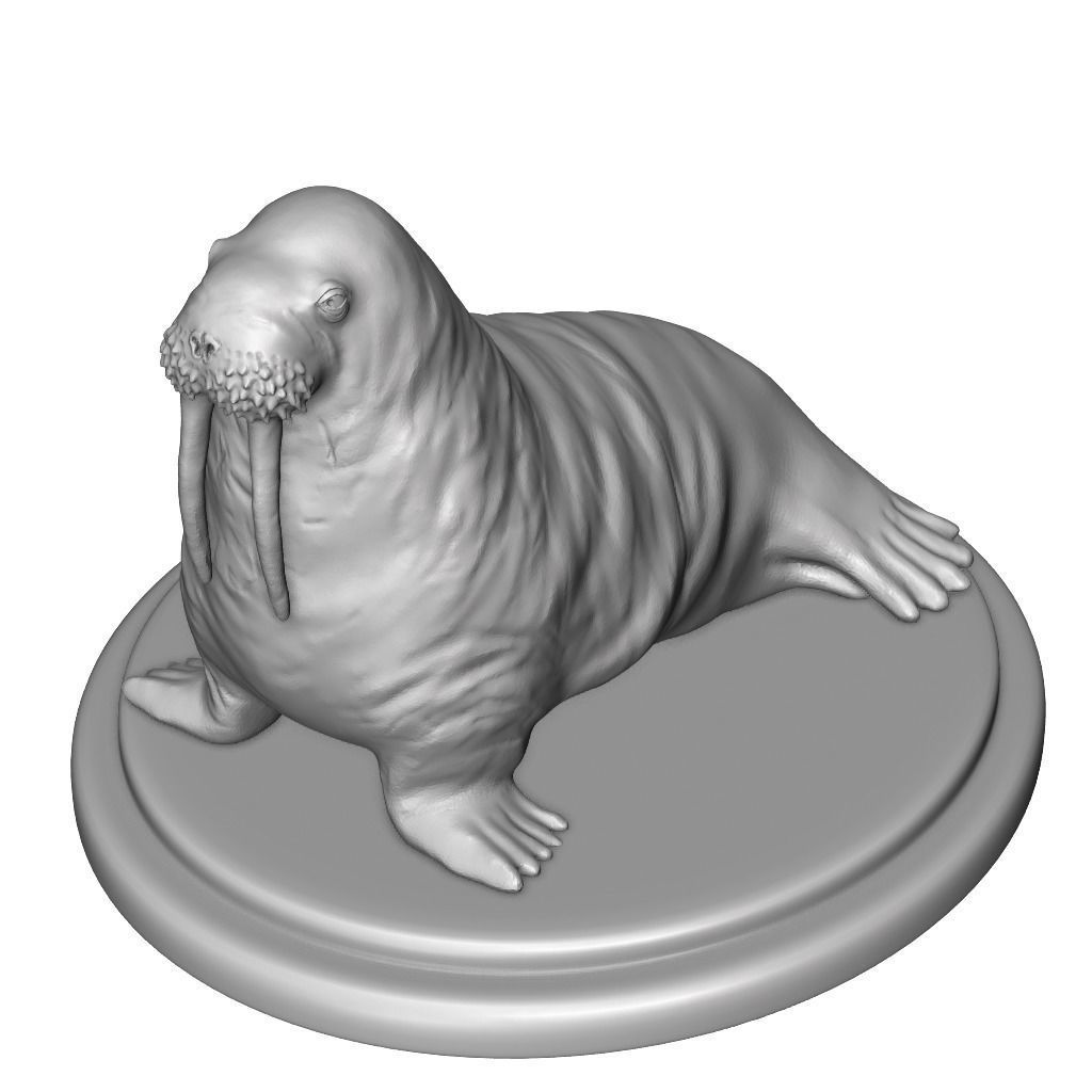 walrus 3D model 3D printable | CGTrader
