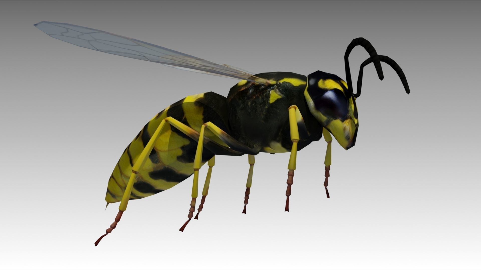3D model Wasp Animated VR / AR / low-poly rigged animated | CGTrader