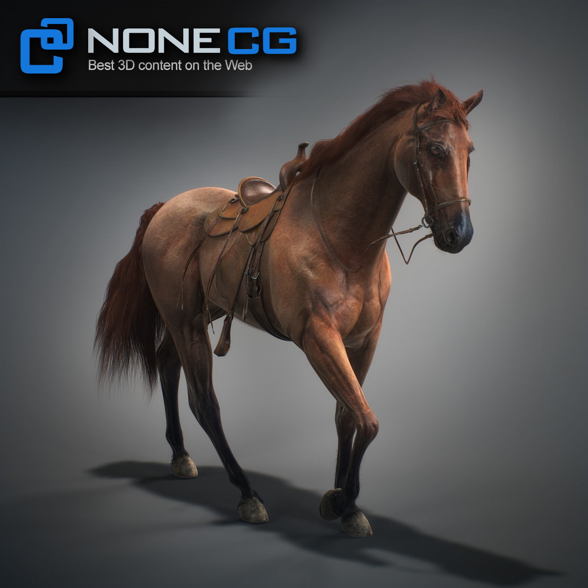 ANIMATED HORSES 3DS Max 3D Model animated rigged MAX - CGTrader.com