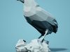 3D model Bird Collection V3 Low Poly Models VR / AR / low-poly | CGTrader