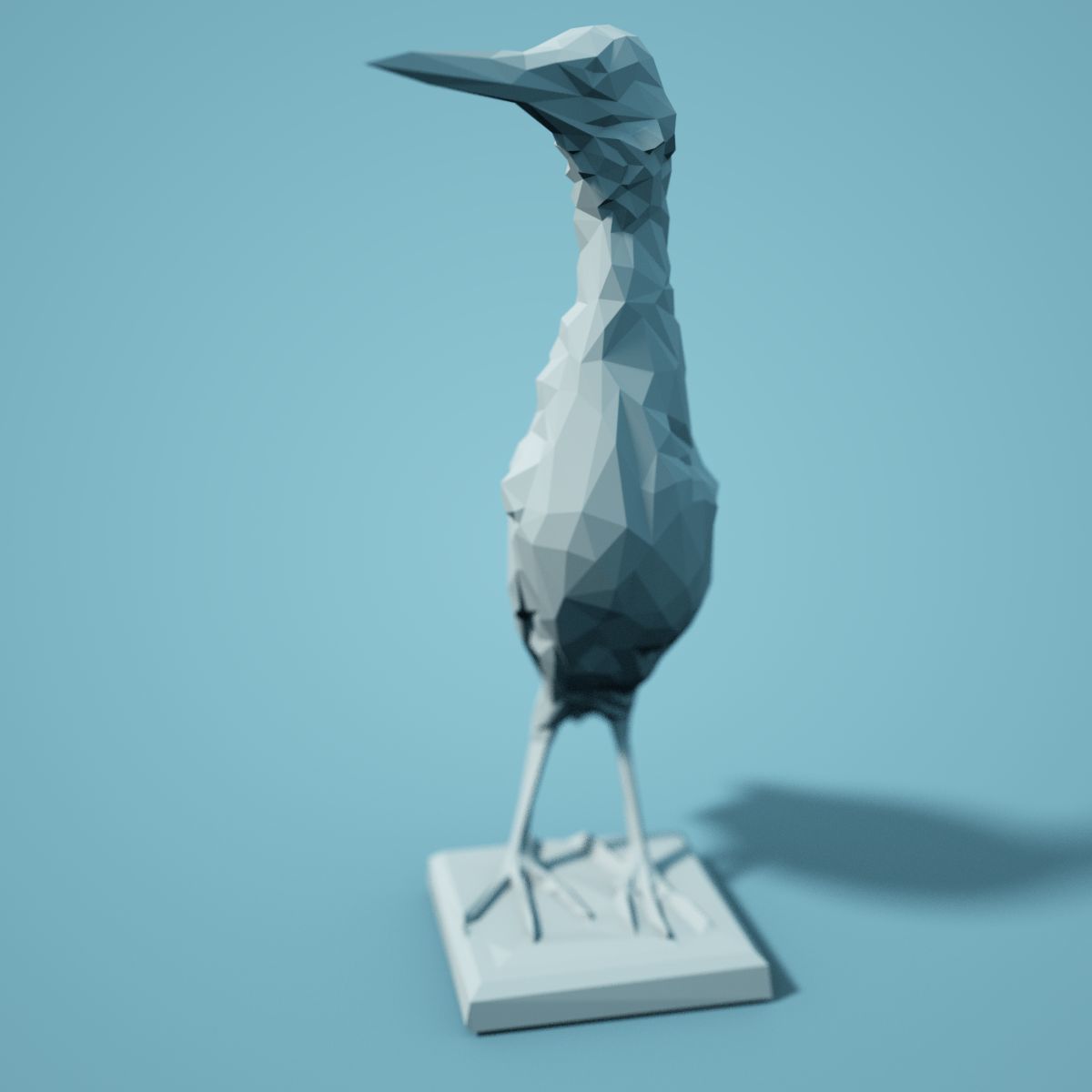 3D model Bird Collection V4 Low Poly Models VR / AR / low-poly | CGTrader